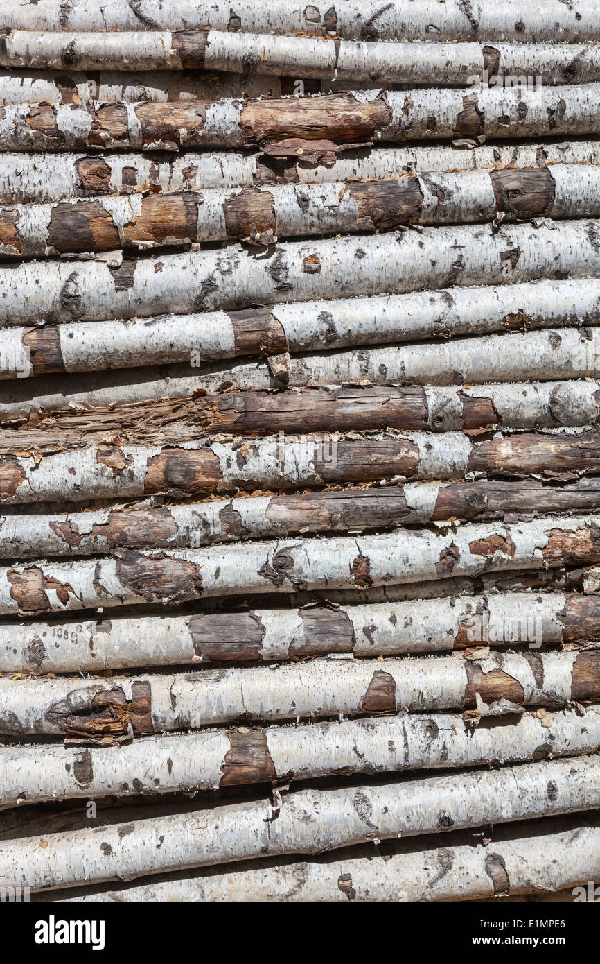 Wallpaper birch cut tree hi-res stock photography and images - Alamy