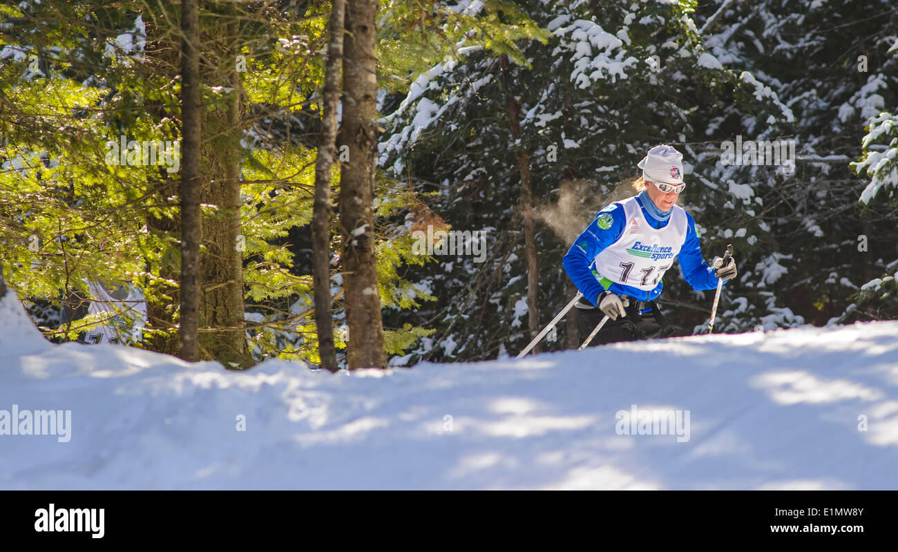 Cross country ski race hi-res stock photography and images - Alamy