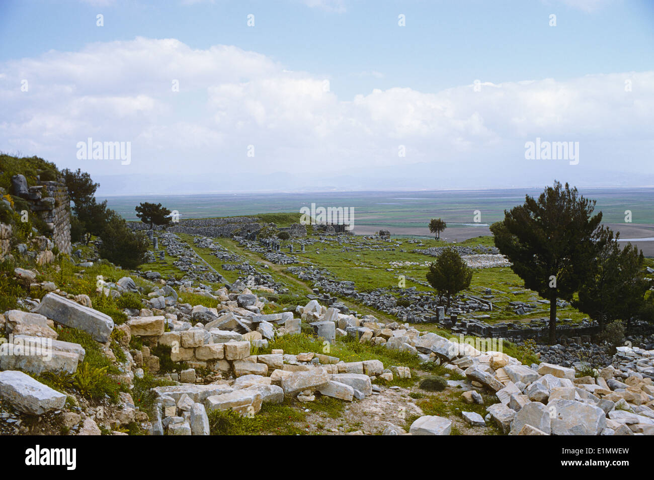 Checkerboard layout hi-res stock photography and images - Alamy