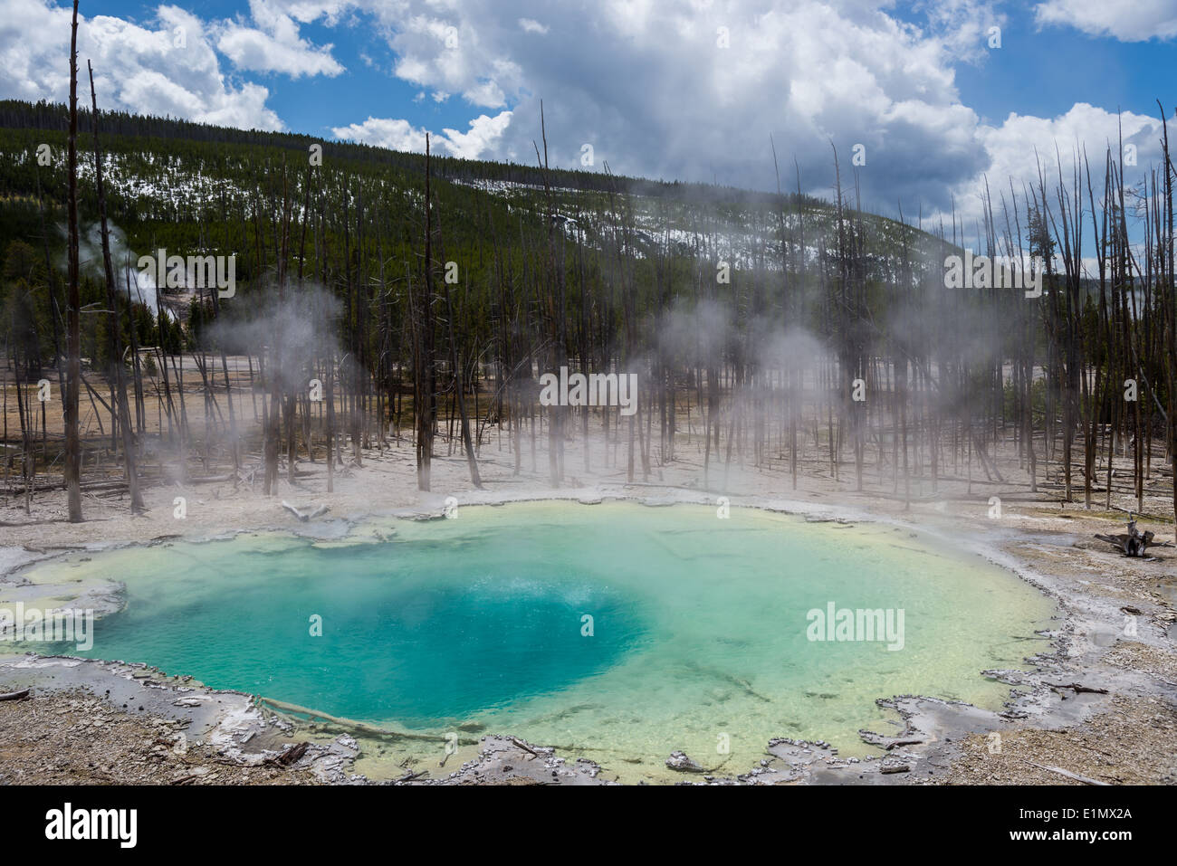 A hot spring with turquoise blue water at the Norris Geyser Basin ...
