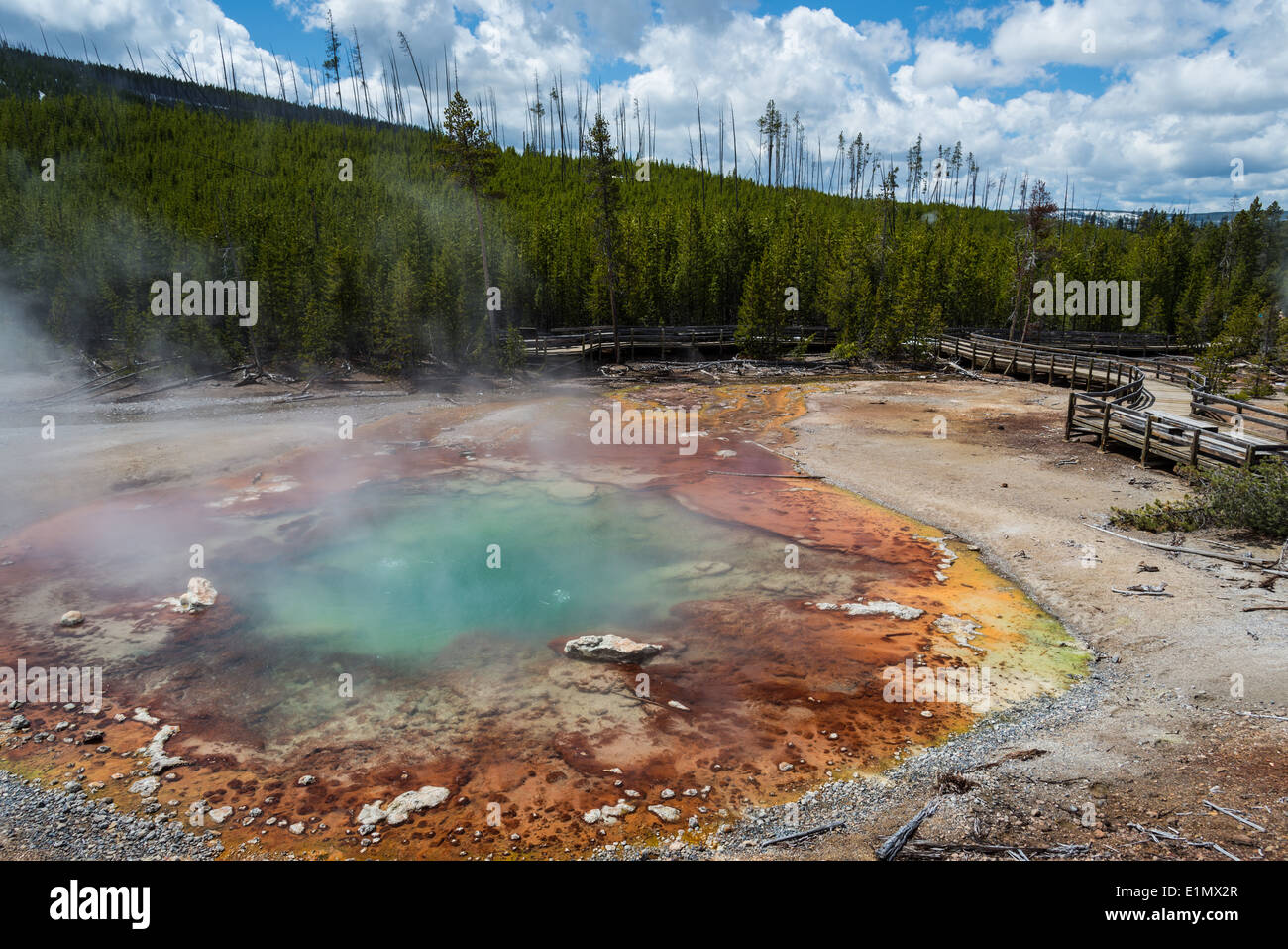 A hot spring with colorful bacteria deposits at Norris Geyser Basin ...