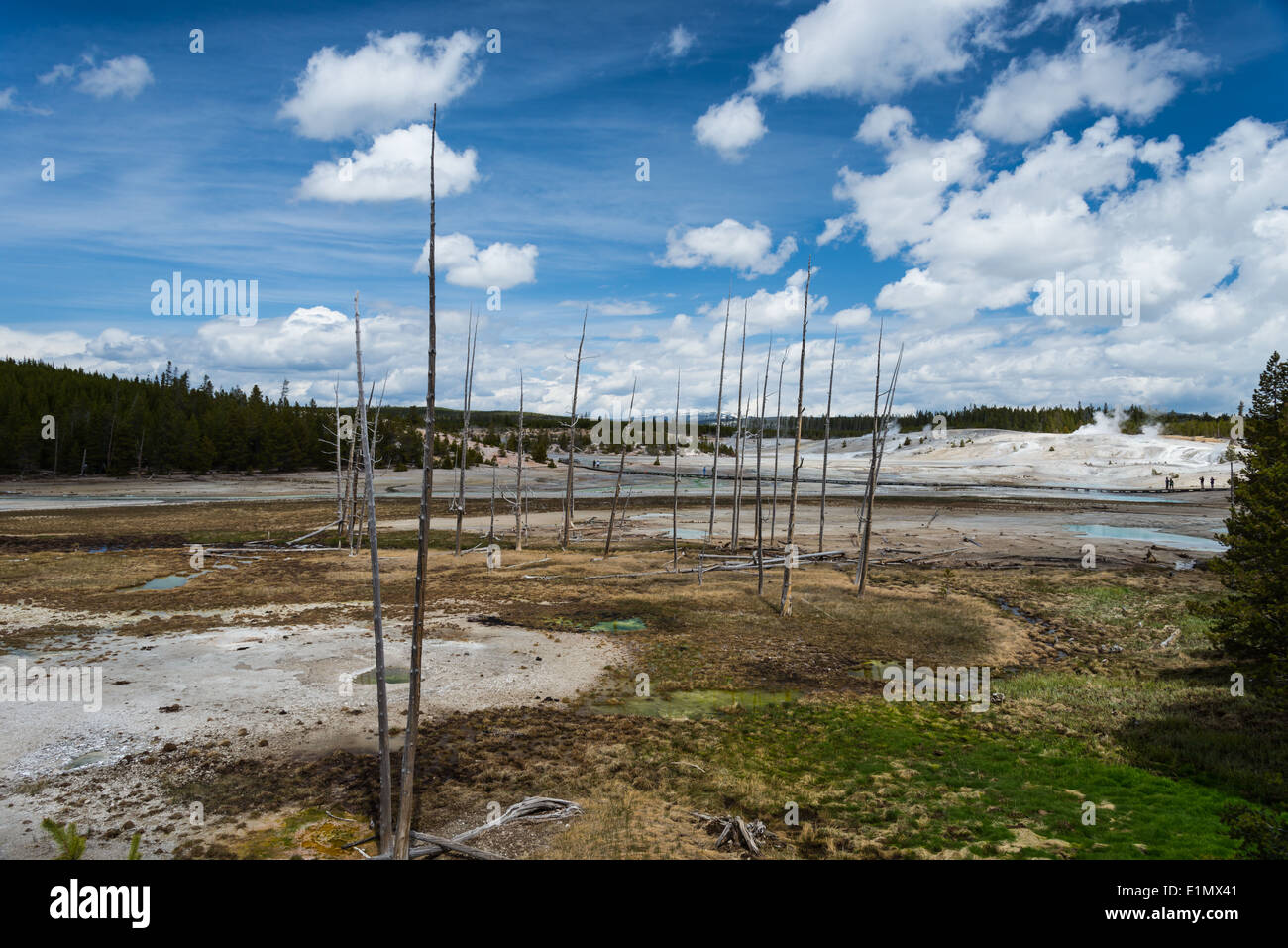 Geothermal basin hi-res stock photography and images - Alamy