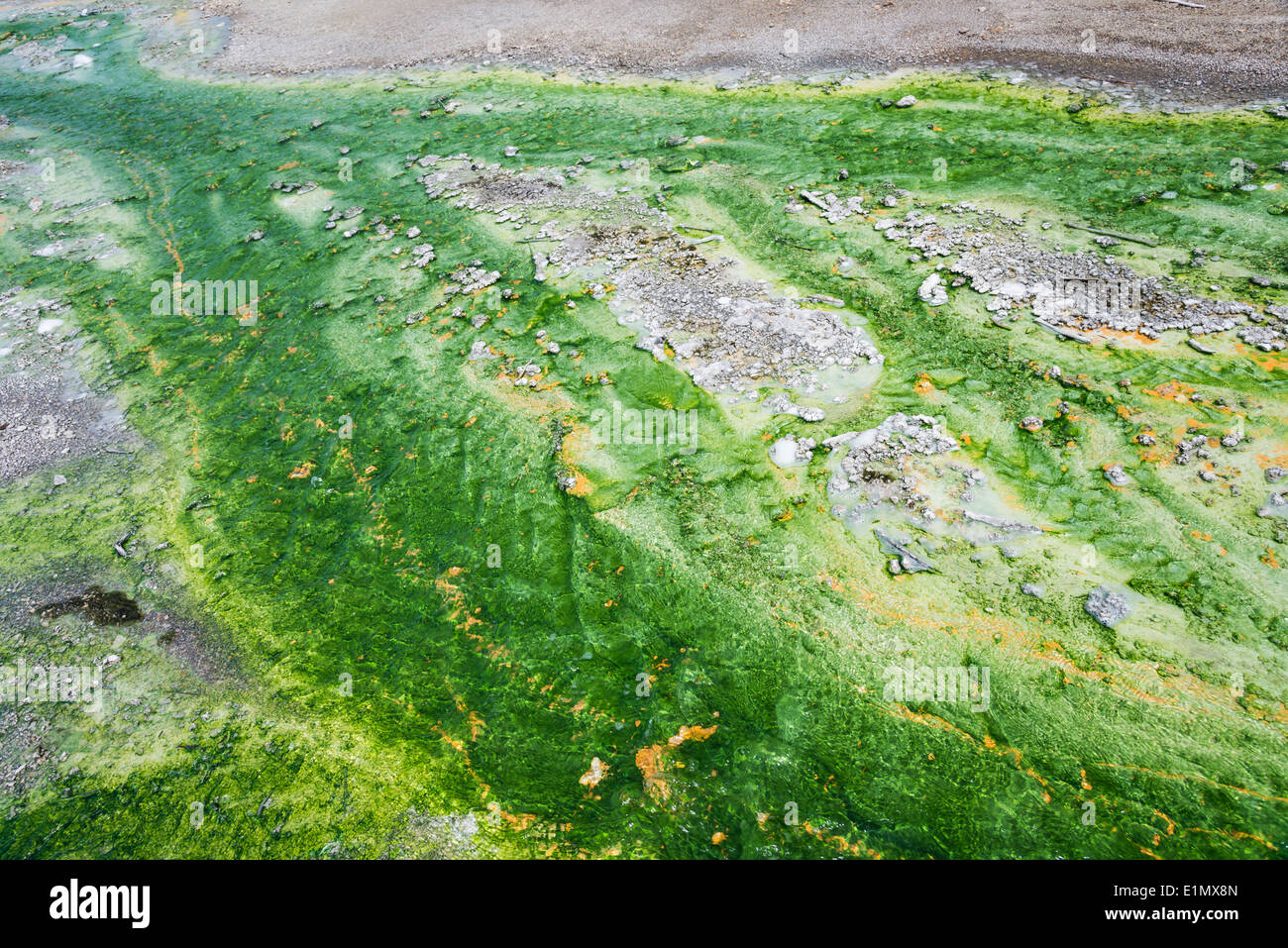 Spring fed stream hi-res stock photography and images - Alamy