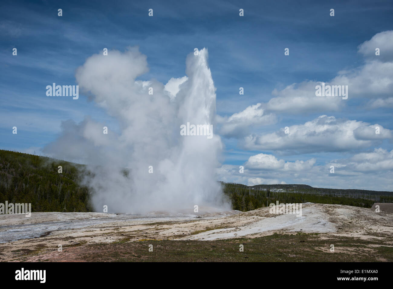 Yellowstone old faithful erupts hi-res stock photography and images - Alamy