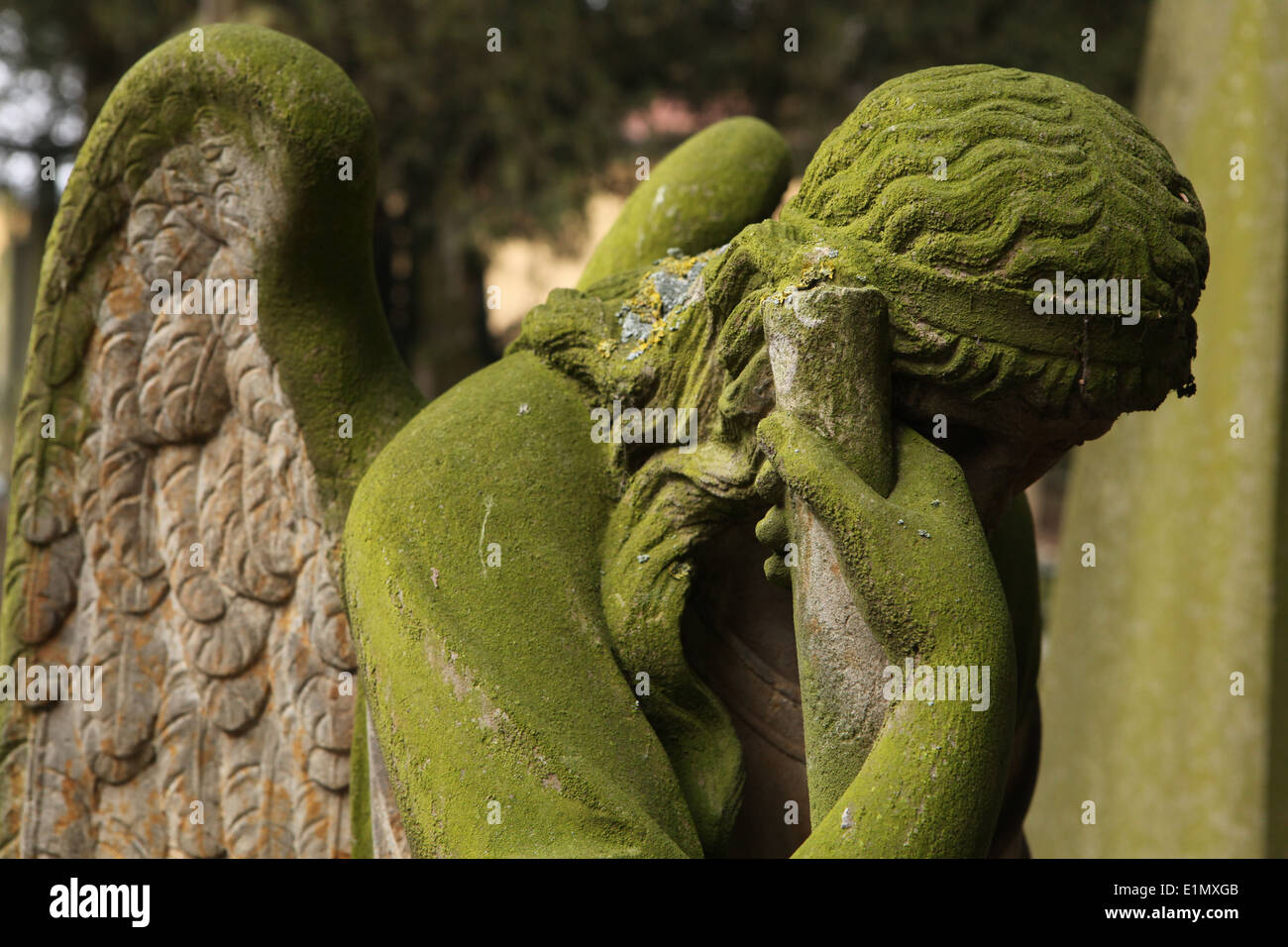 Mourning angel from a tombstone at the Garrison Cemetery in Josefov ...