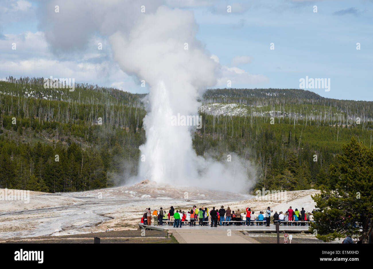Crowd gather in front of the Old Faithful Geyser during an eruption ...