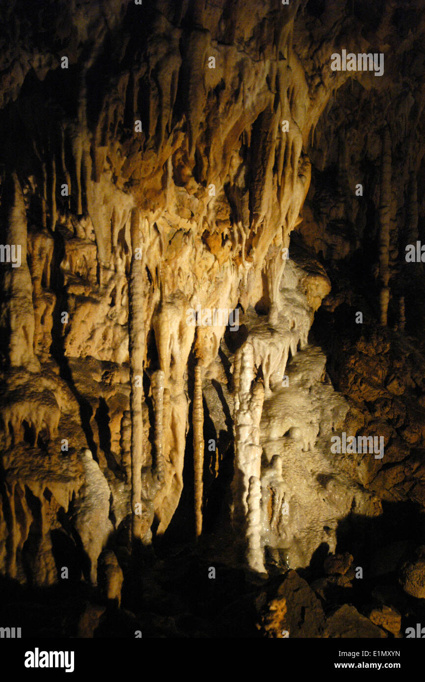 Catherine Cave's Instagram, Twitter & Facebook on IDCrawl