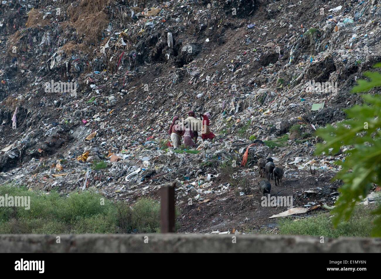 Calcutta, Indian state West Bengal. 6th June, 2014. Indian rag-pickers ...