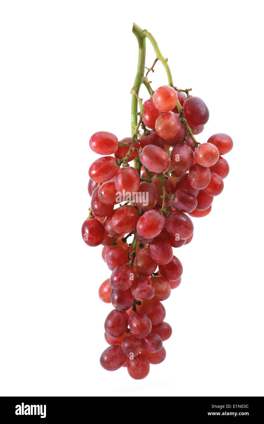 Grapes white background red hi-res stock photography and images - Alamy