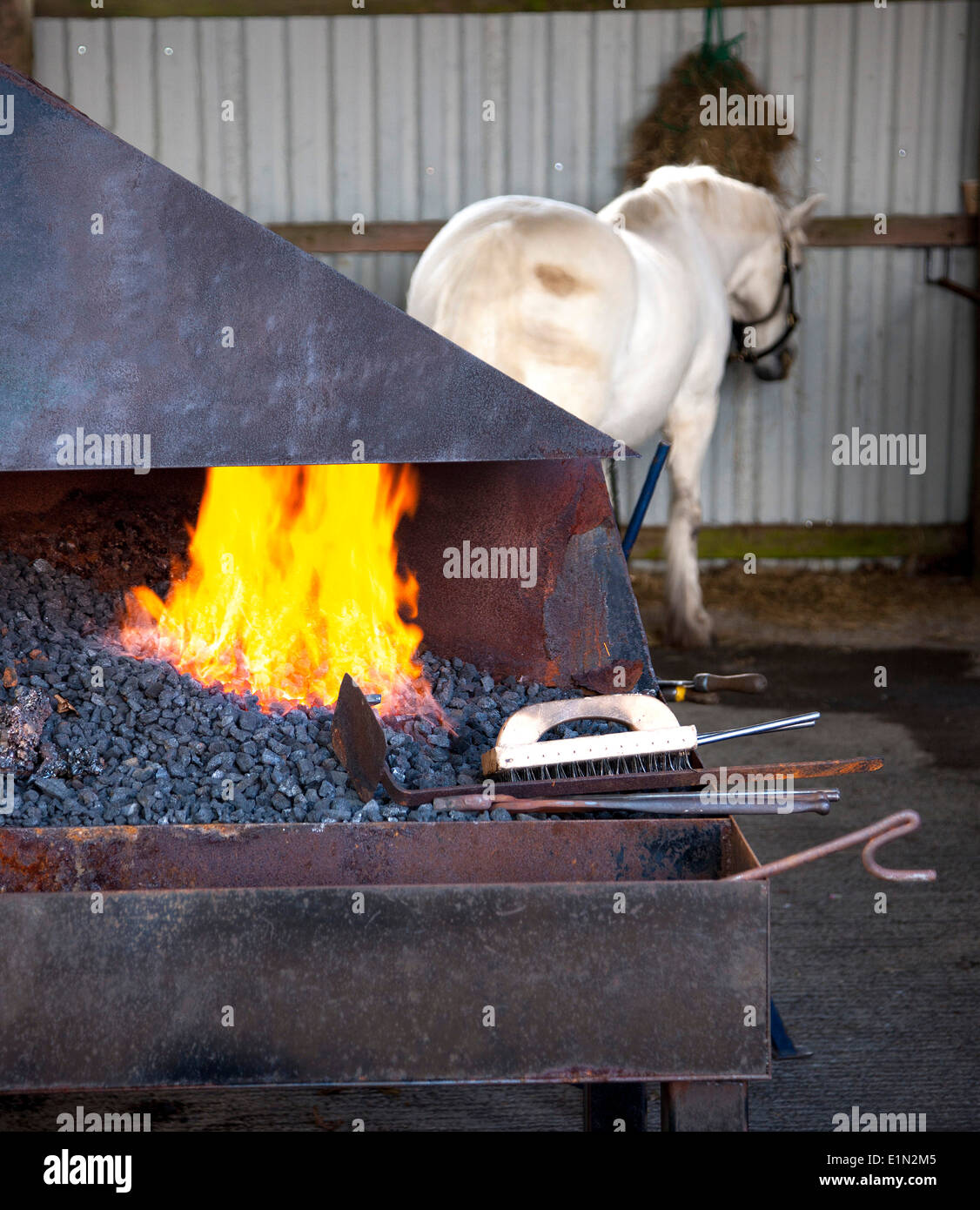 A white horse standing by a blacksmith forge Stock Photo - Alamy