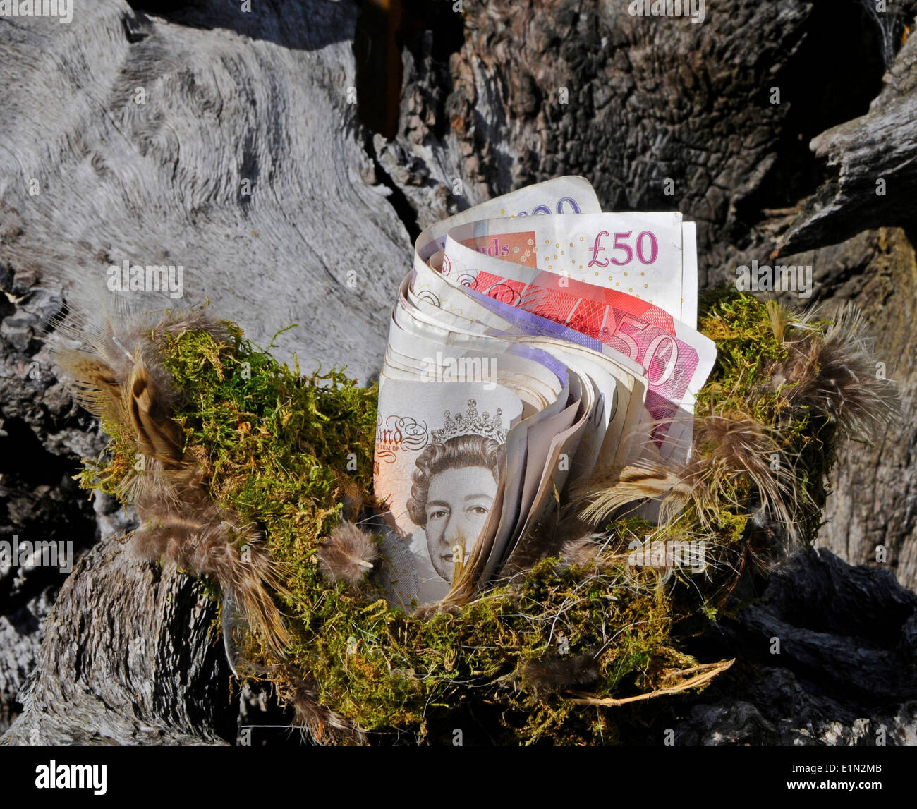 Nestegg, nest-egg. nest egg, savings, saved money cash, UK sterling ...