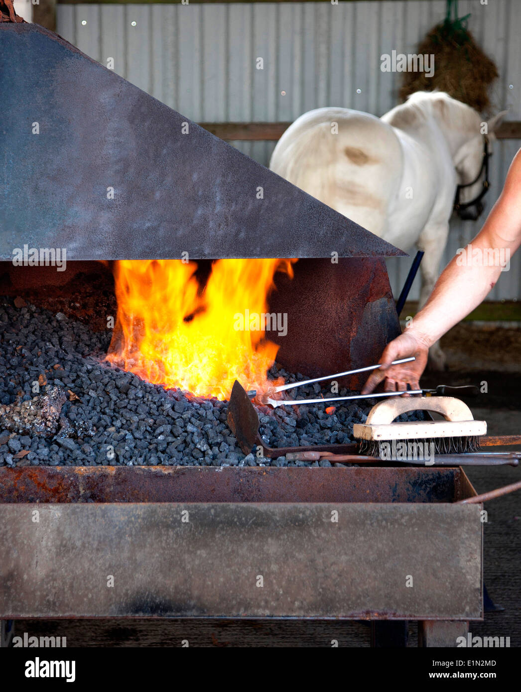 A white horse standing by a blacksmith forge Stock Photo - Alamy