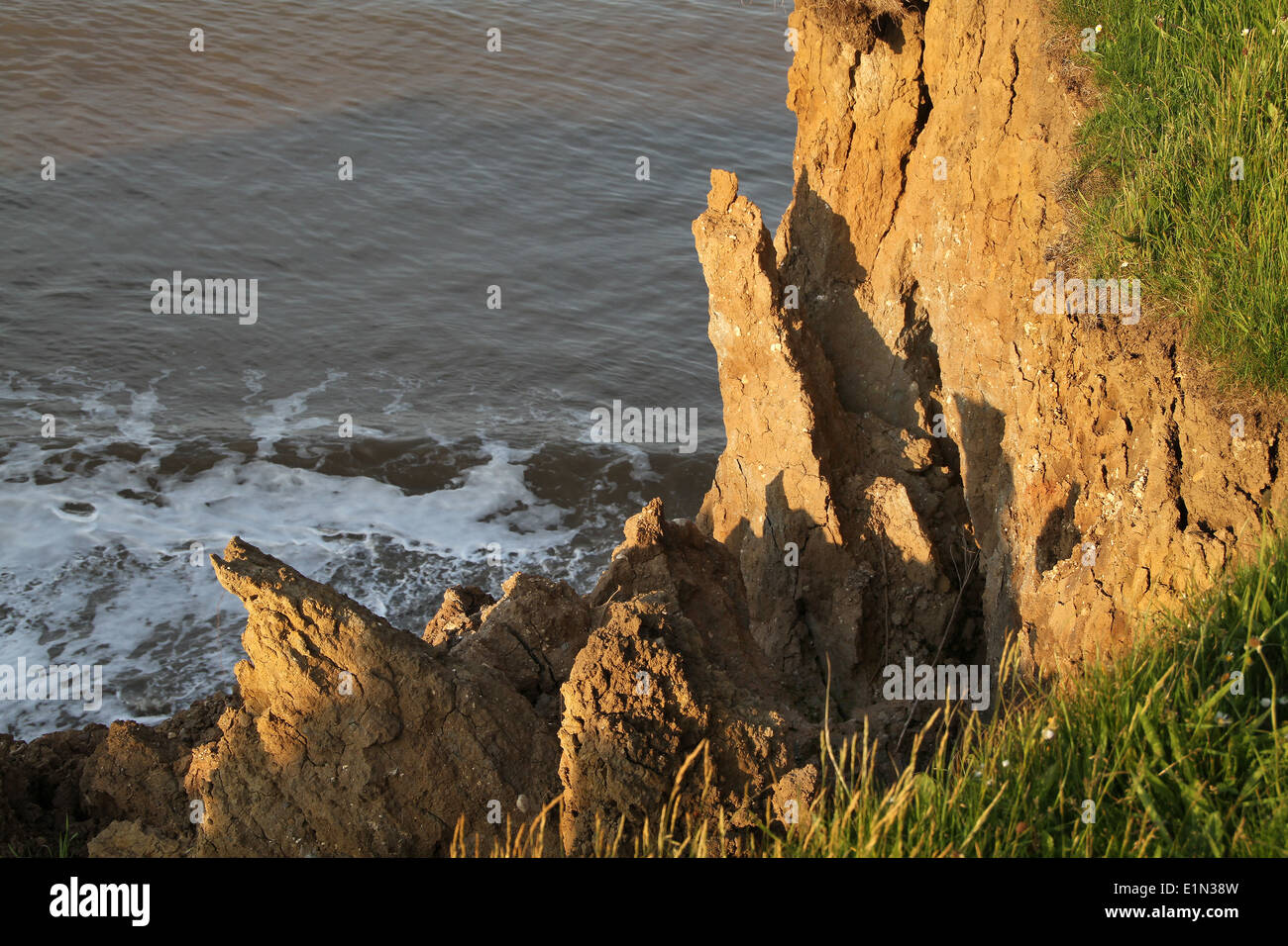 Clay cliff erosion by sea action on the east coast of Yorkshire, UK ...