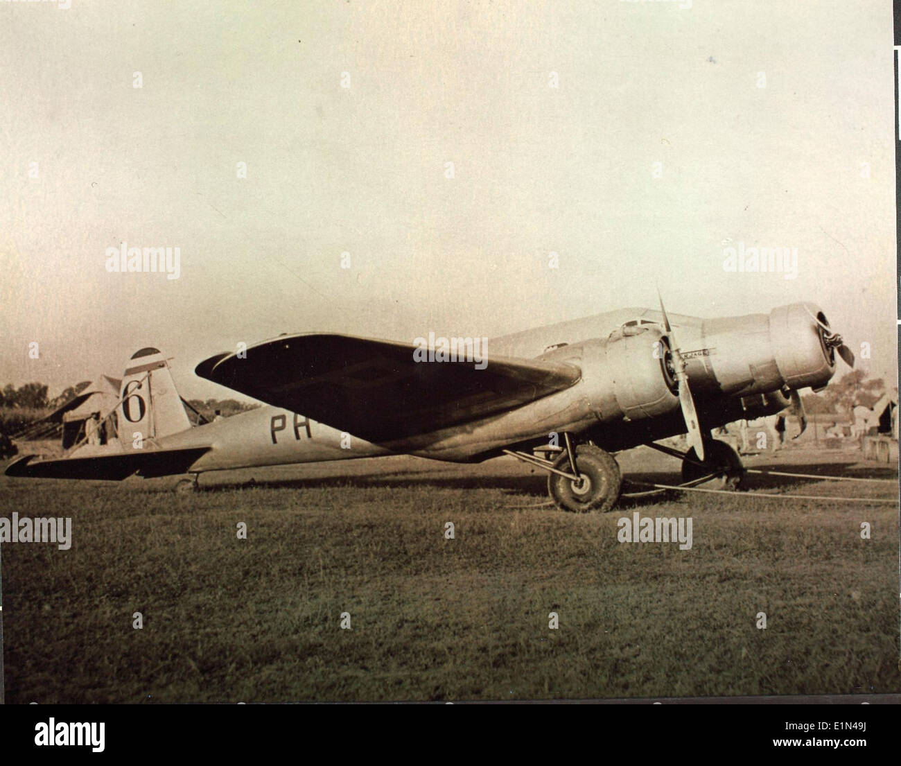 Pander hi-res stock photography and images - Alamy