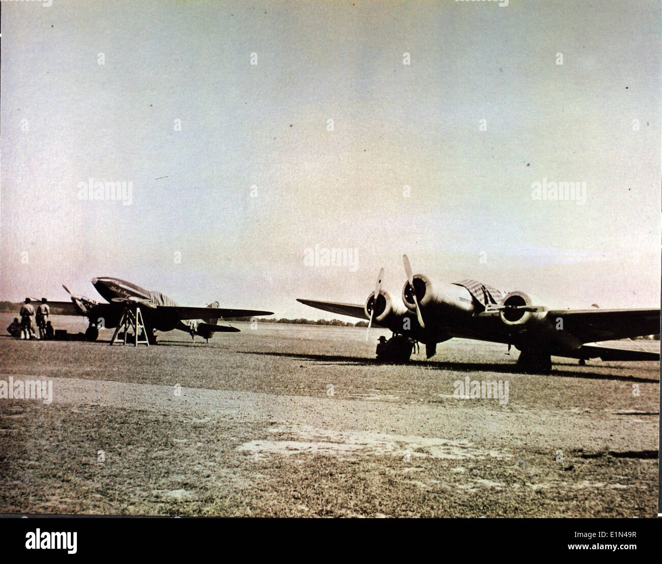 Pander hi-res stock photography and images - Alamy