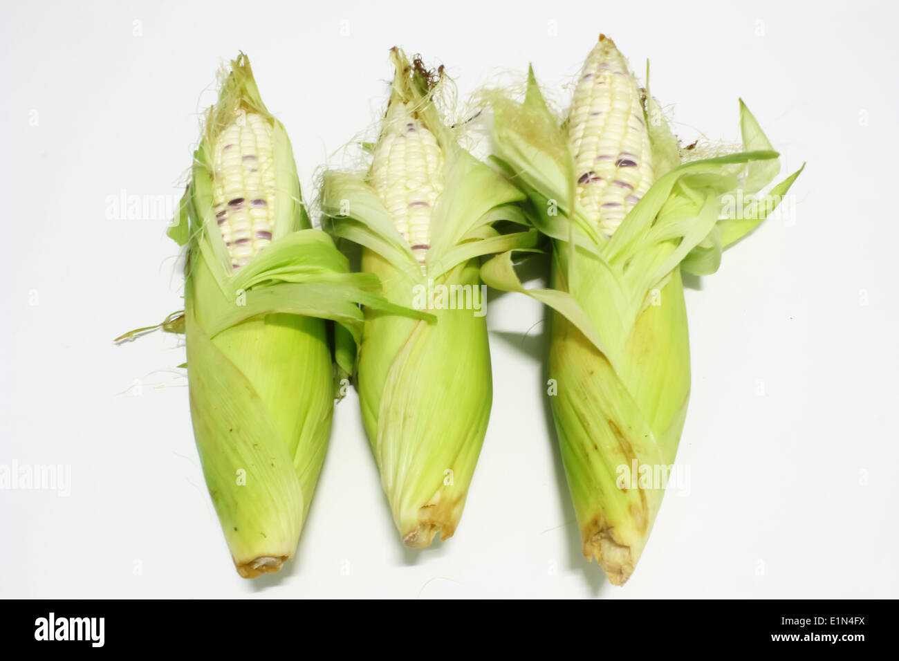 Corn for cooking Stock Photo - Alamy
