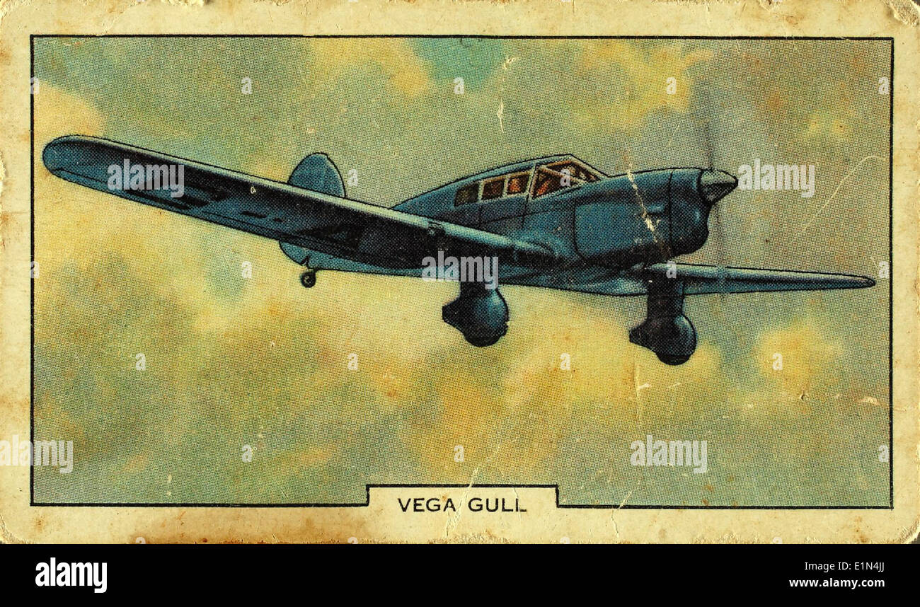 Percival, Vega Gull Stock Photo - Alamy