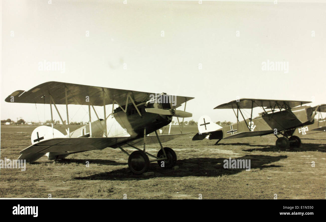 The Pfalz D.XII was a German biplane fighter aircraft used during World ...