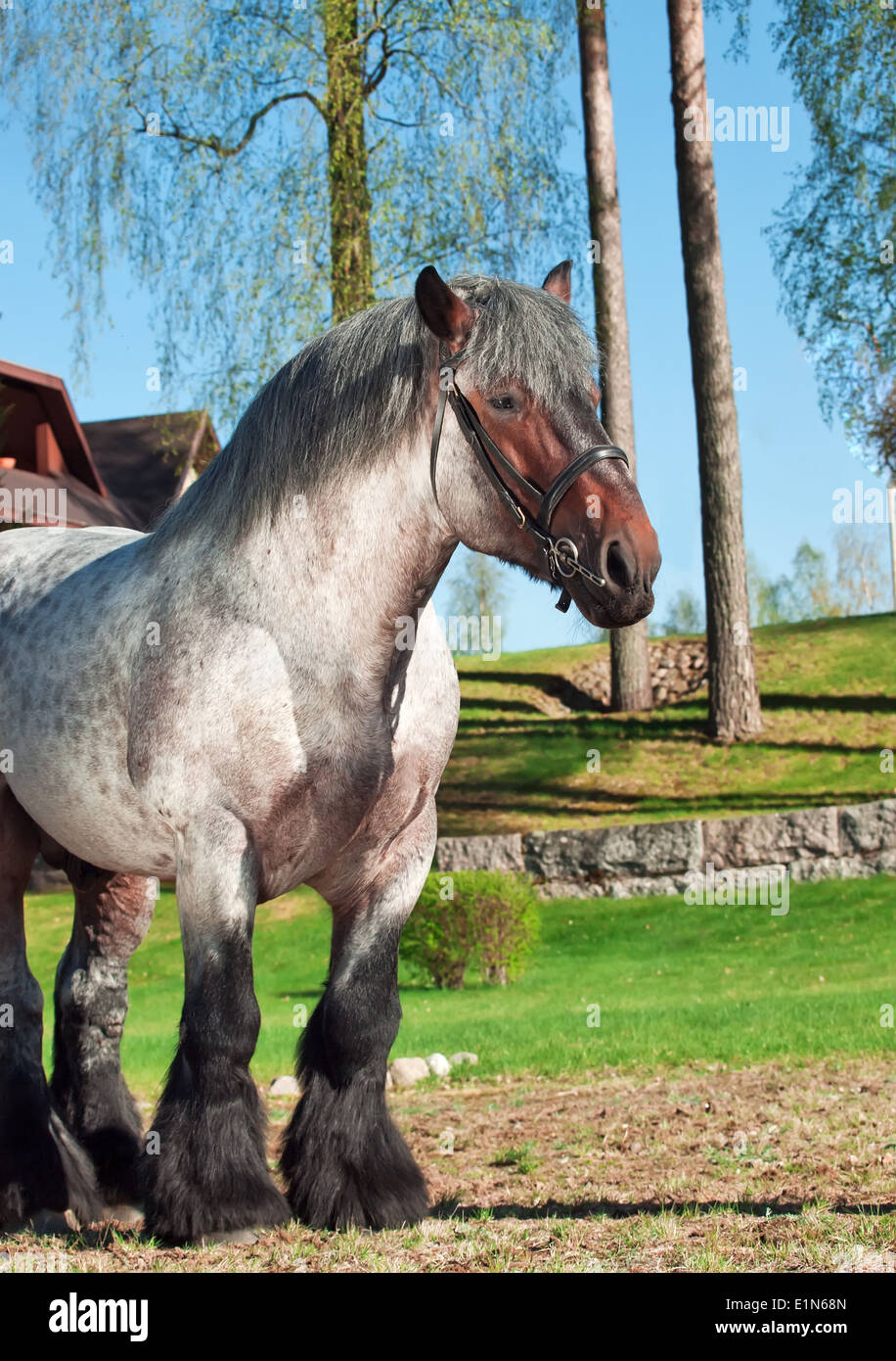 Draught draft hi-res stock photography and images - Alamy