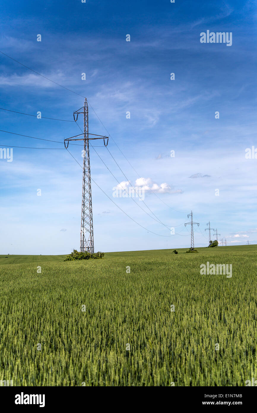 Power lines in the field Stock Photo - Alamy