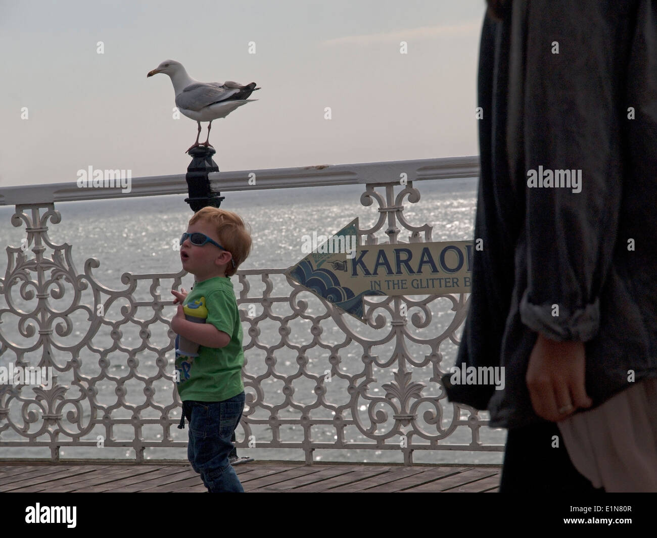 Child seagull hi-res stock photography and images - Alamy