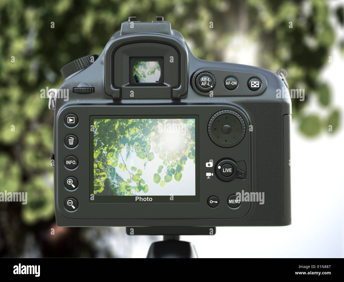 Taking photos. Camera and nature. 3d image Stock Photo - Alamy