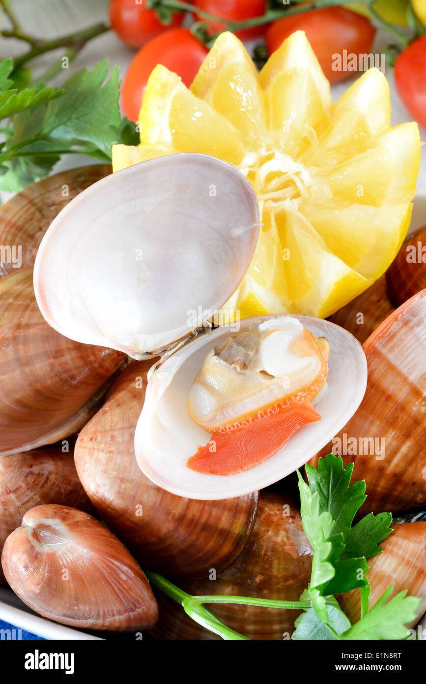 raw sea fruits called fasolari live again with lemon Stock Photo - Alamy