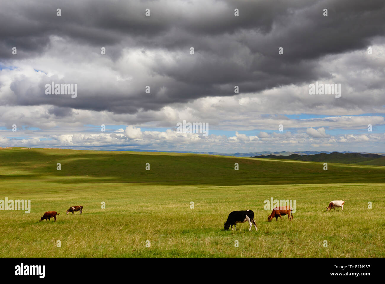 Mongolia tov province hi-res stock photography and images - Alamy