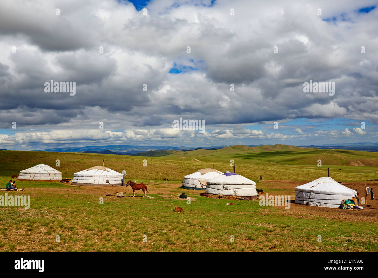 Mongolia, Tov province, nomad camp Stock Photo - Alamy