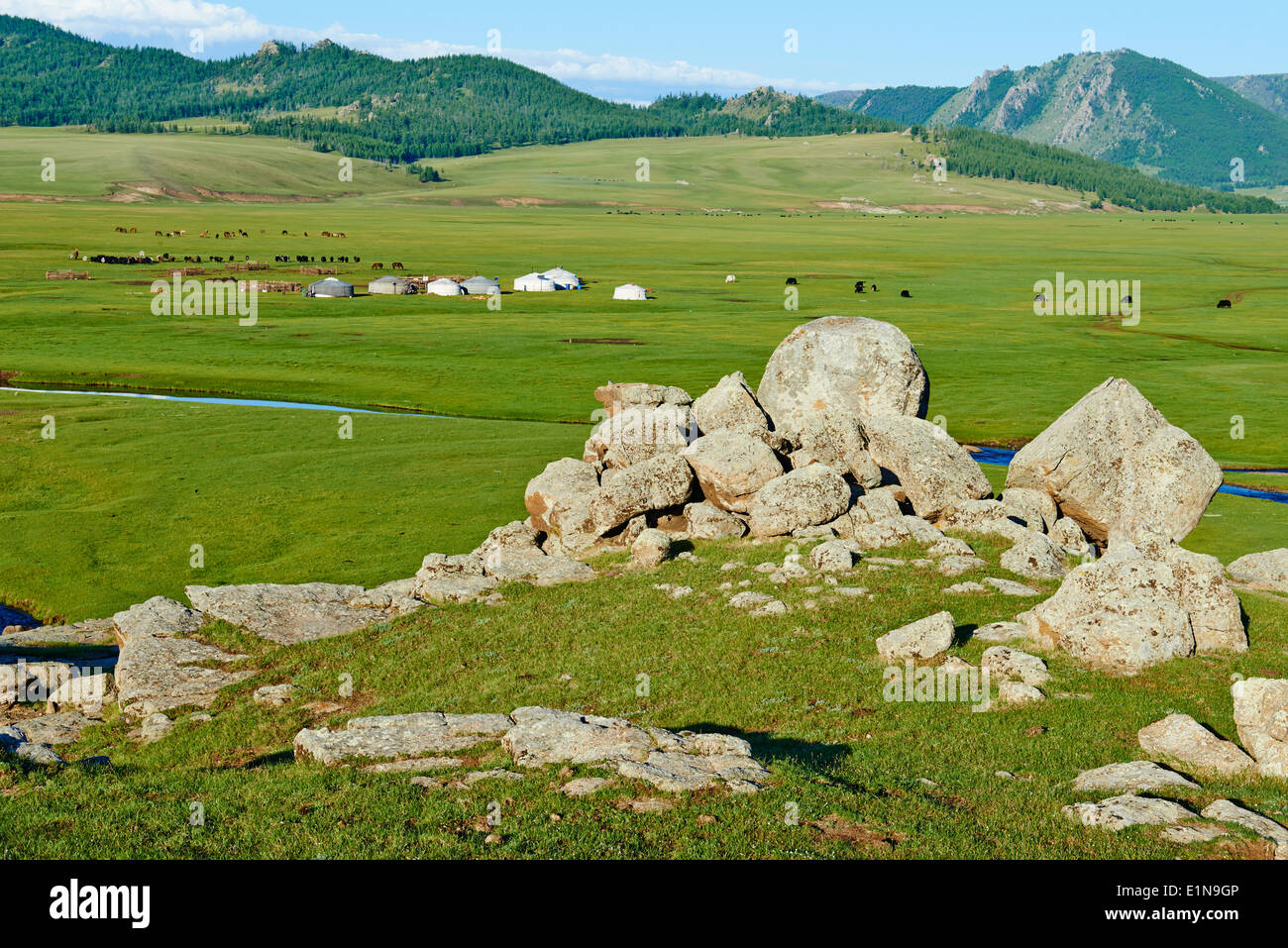 Mongolia, Arkhangai, Yellow Steppe valley Stock Photo - Alamy