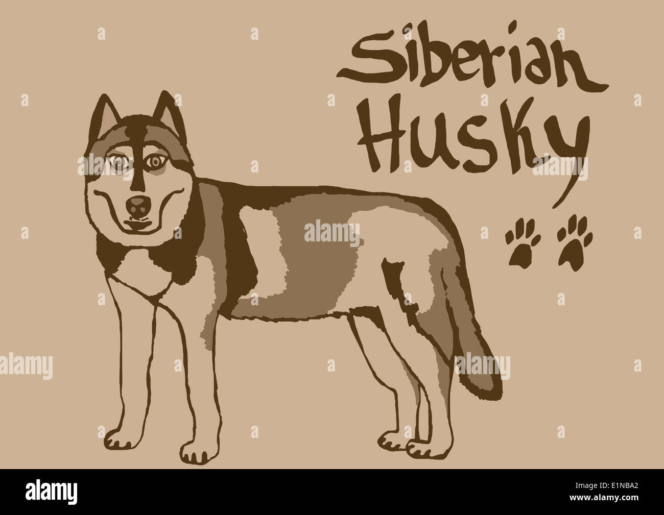 Siberian Husky vintage Stock Photo - Alamy
