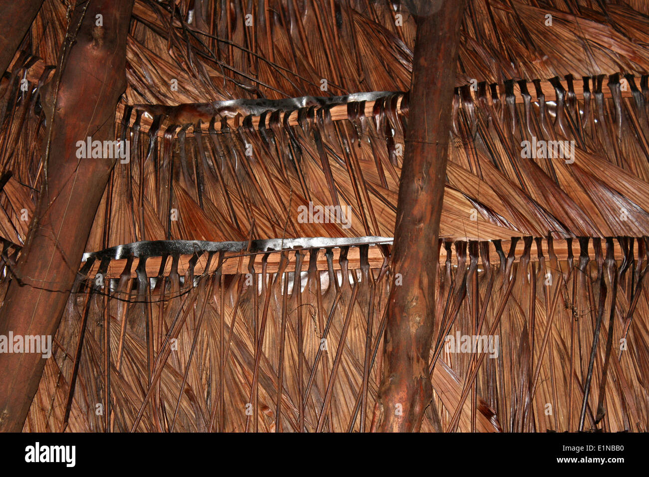 Archidona ecuador hi-res stock photography and images - Alamy