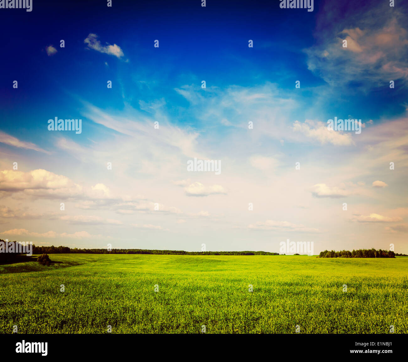 Vintage retro hipster style travel image of spring summer background ...