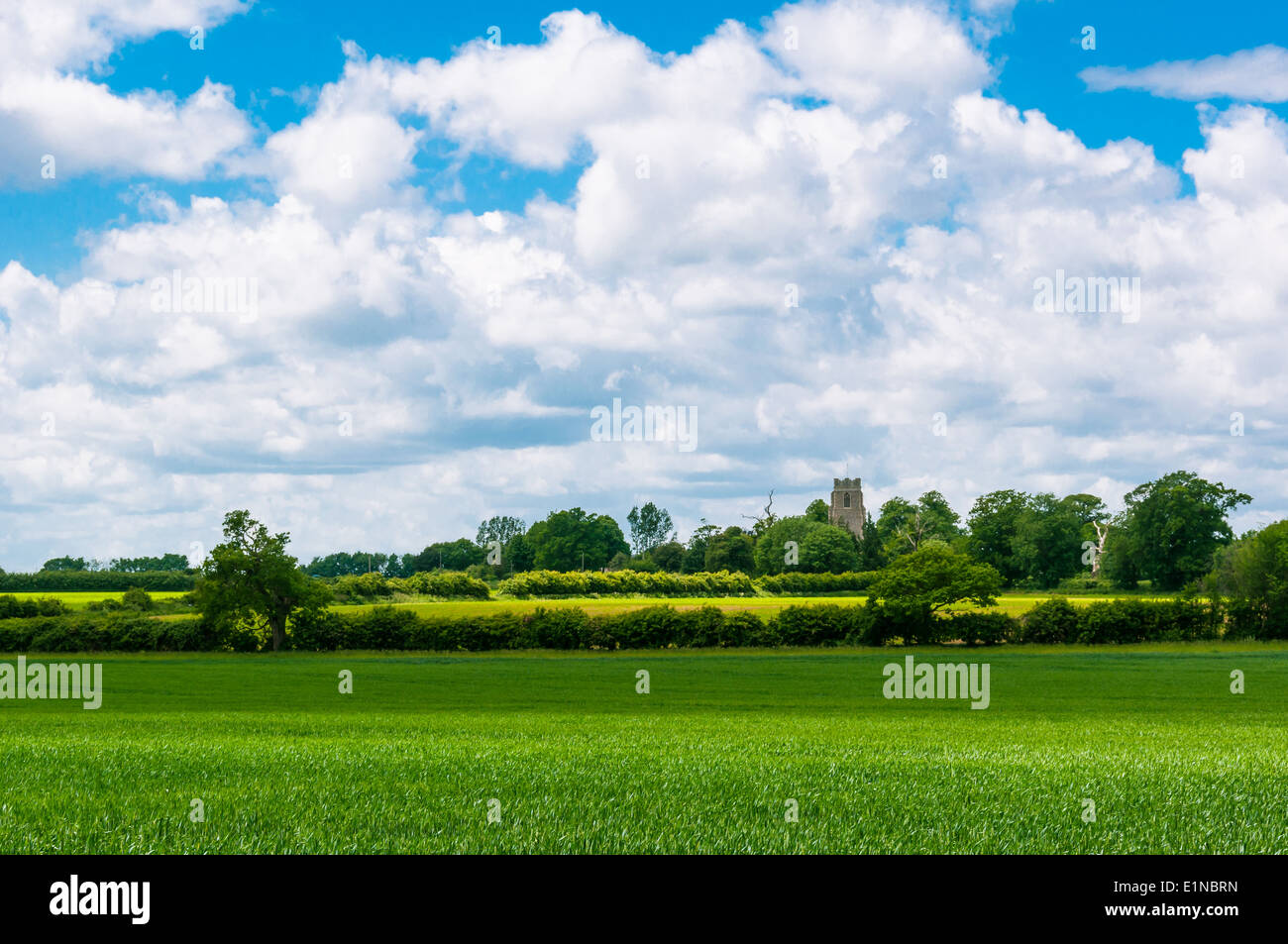 Green fields and meadows Suffolk, England, UK Stock Photo - Alamy