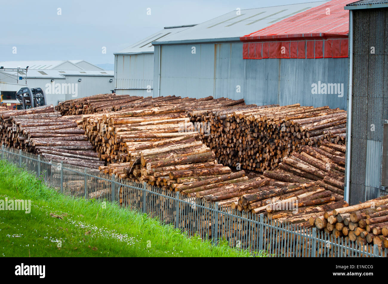 Timber mill saw wood hi-res stock photography and images - Alamy