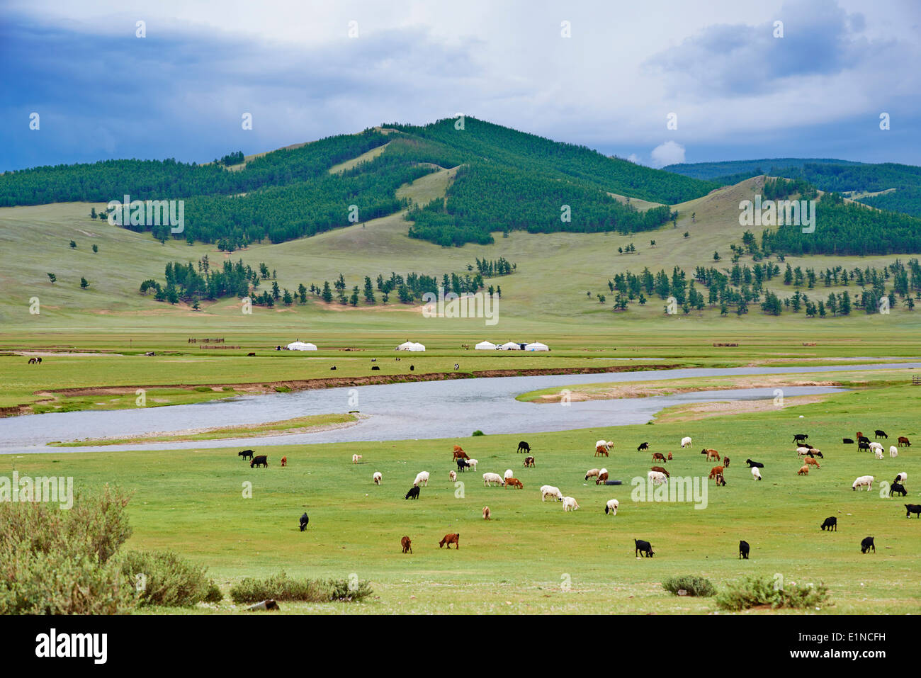 Mongolia, Ovorkhangai province, nomad camp Stock Photo - Alamy