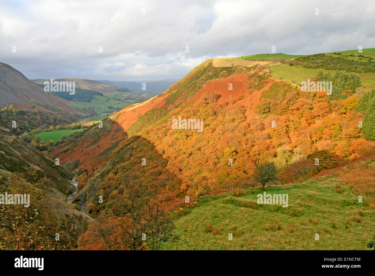 Dylife Gorge High Resolution Stock Photography and Images - Alamy