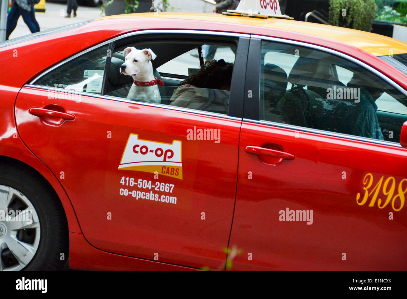 Torontocabs hi-res stock photography and images - Alamy