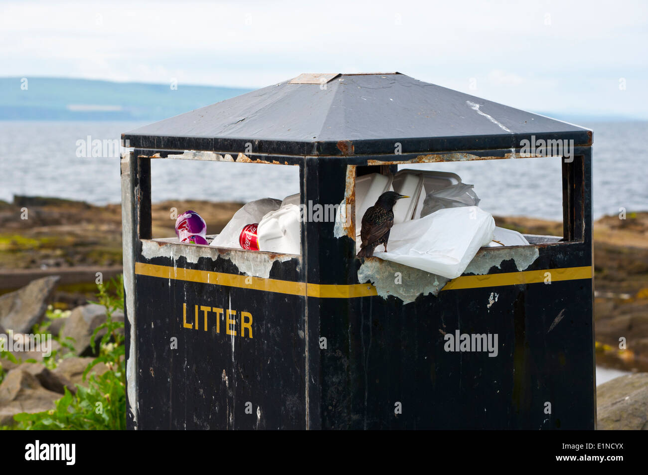 full overflowing litter rubbish bin Stock Photo - Alamy full overflowing litter rubbish bin Stock Photo - Alamy
