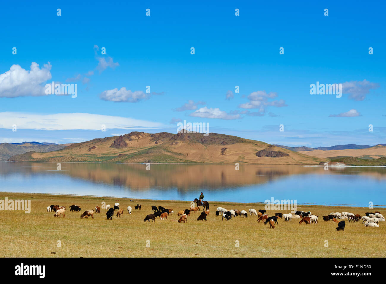 Zavkhan Province Stock Photos & Zavkhan Province Stock Images - Alamy
