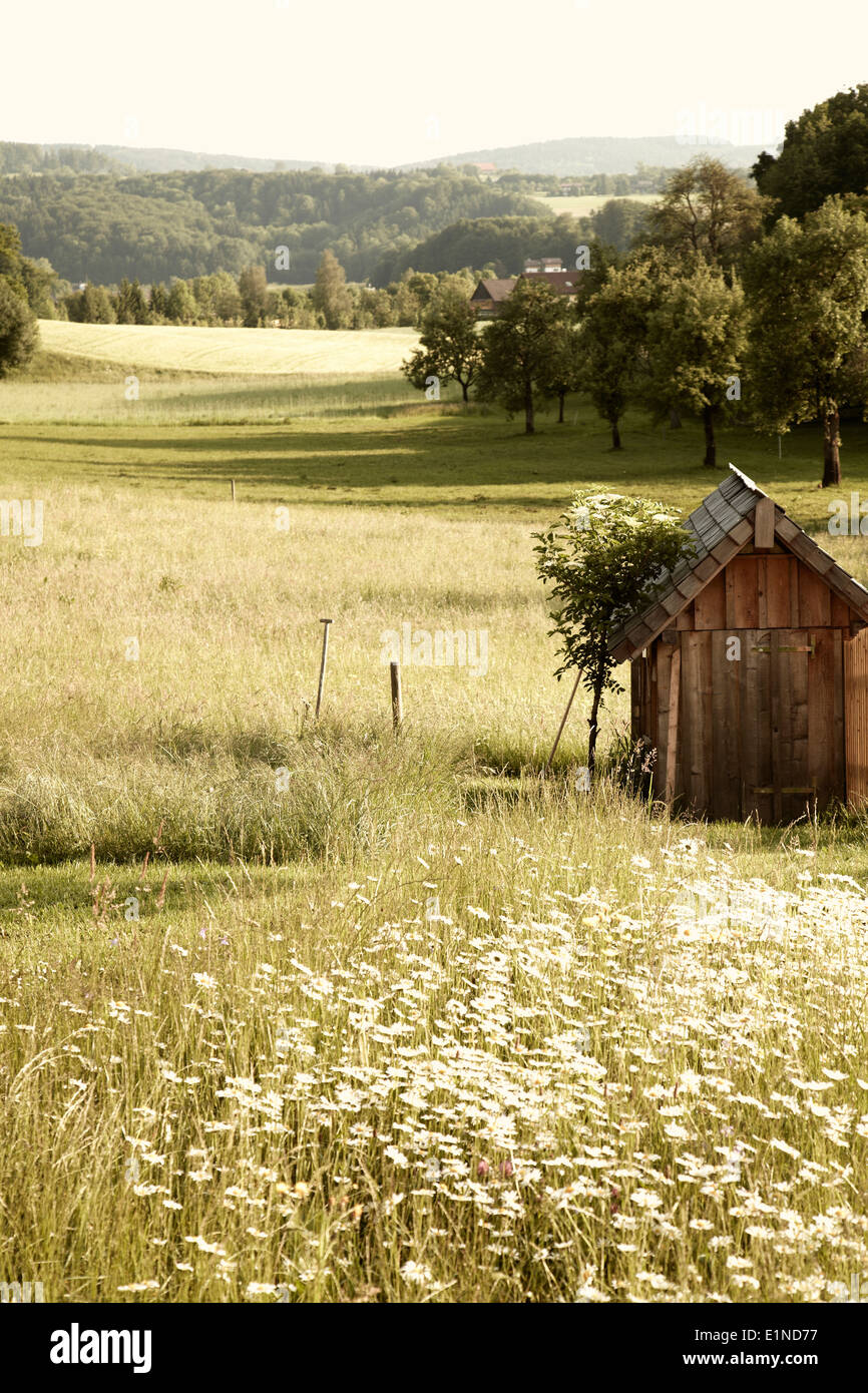 Sommerwiesen wiesen sommer schuppen hi-res stock photography and images - Alamy