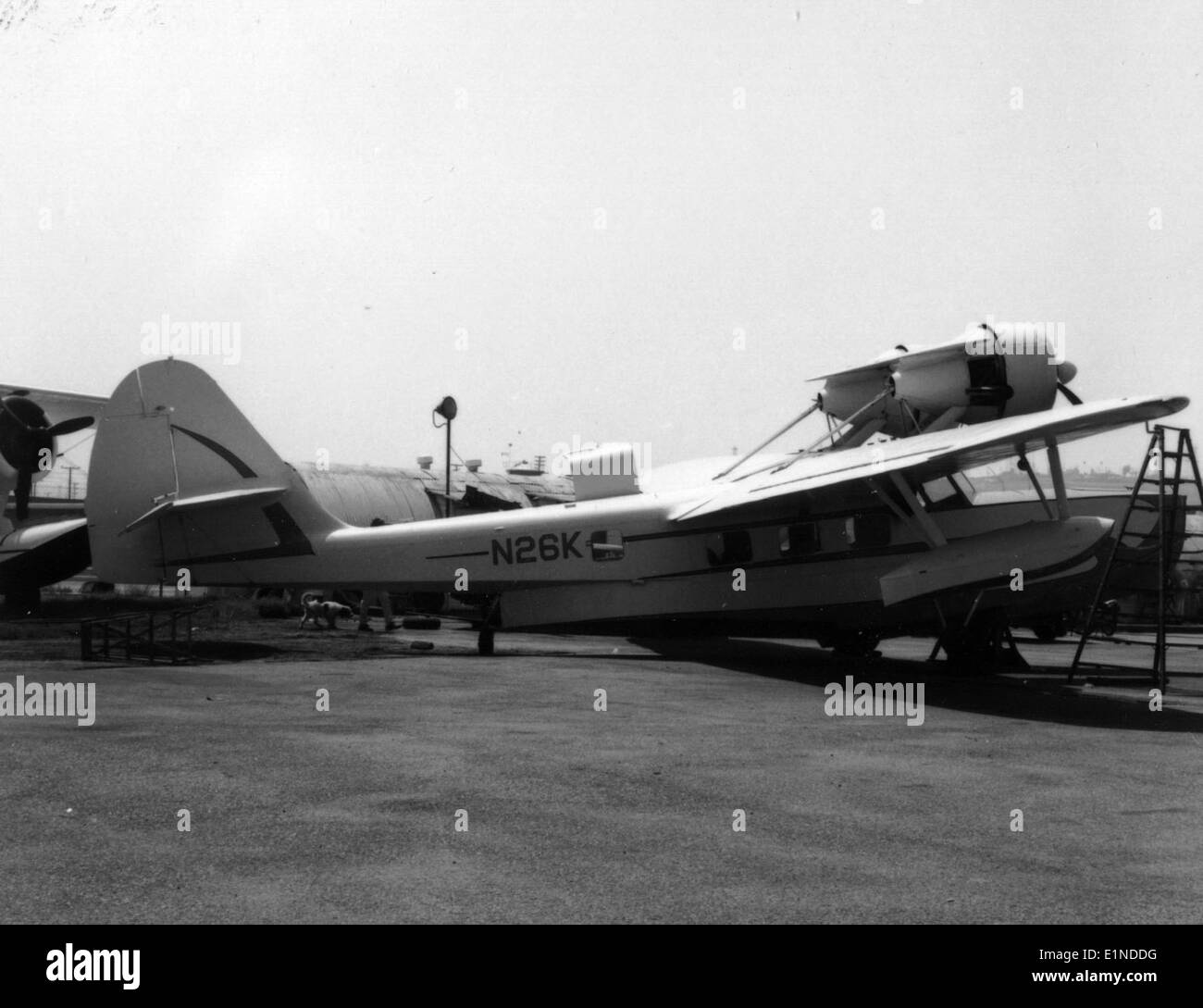 Dolphin aviation hi-res stock photography and images - Alamy