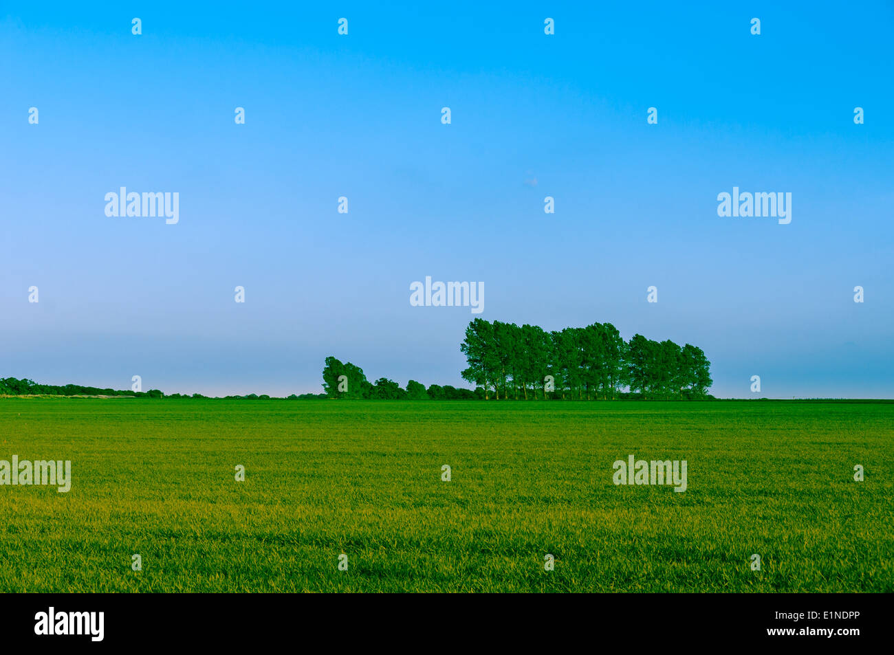 Landscape view of meadows serenity, happiness, Suffolk, UK Stock Photo ...
