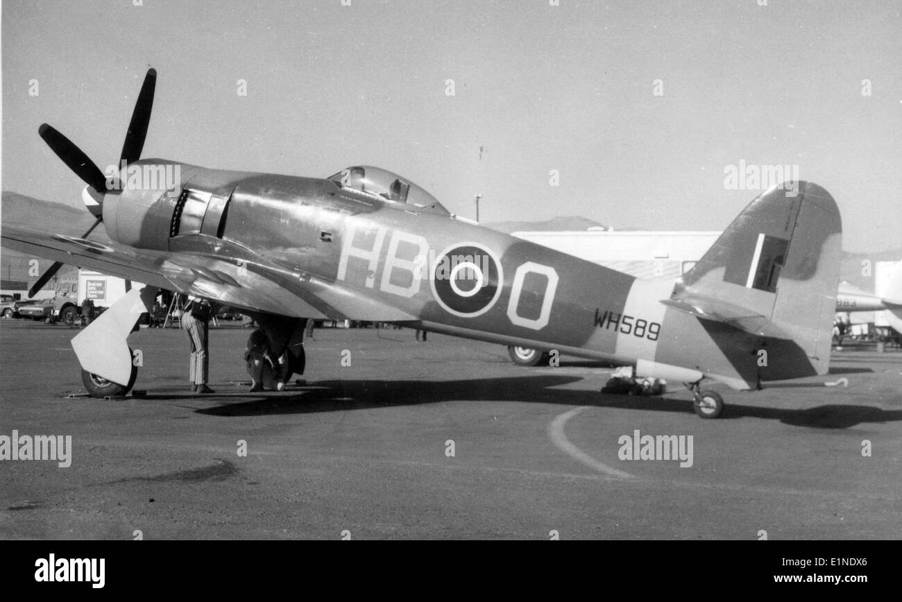 Hawker Sea Fury Reno Air Races, 1969 Stock Photo - Alamy