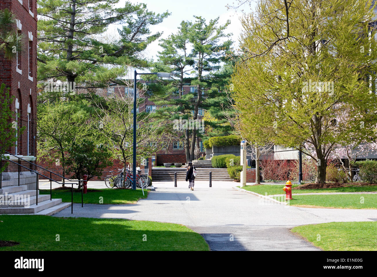 On Harvard University campus on a sunny spring day in Cambridge, MA ...