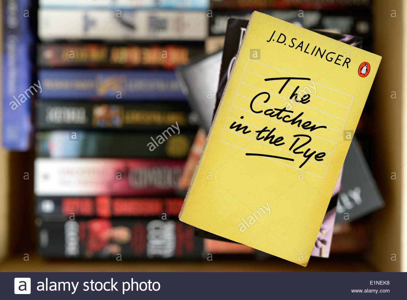 The Catcher In The Rye High Resolution Stock Photography and Images - Alamy