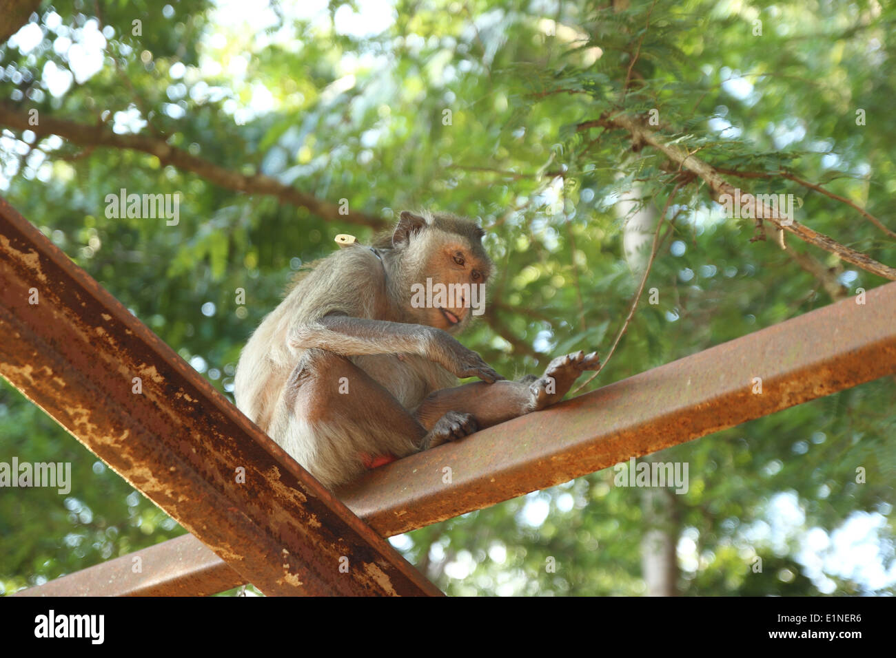 Sitting railing hi-res stock photography and images - Alamy