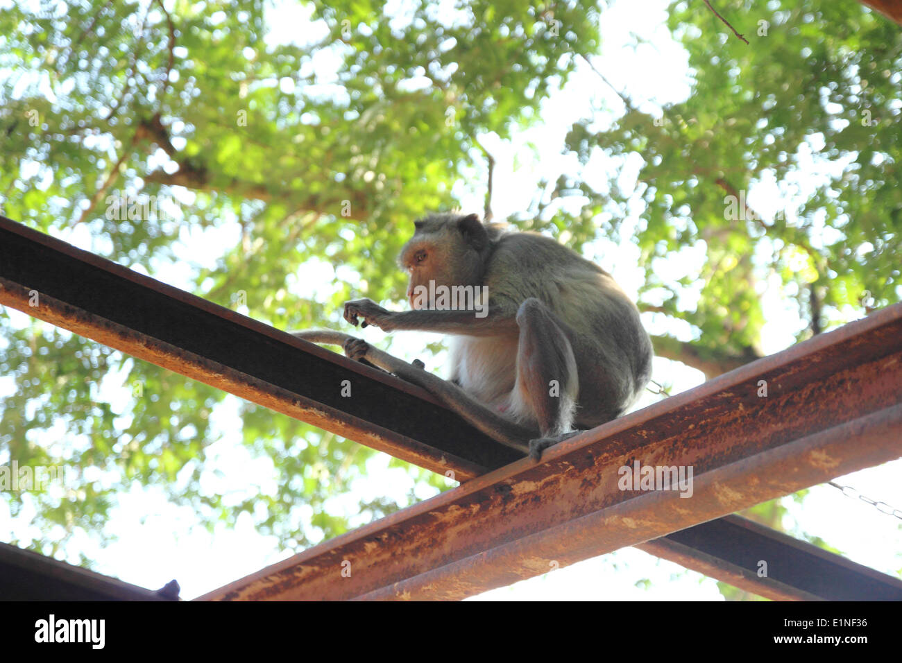 Sitting railing hi-res stock photography and images - Alamy