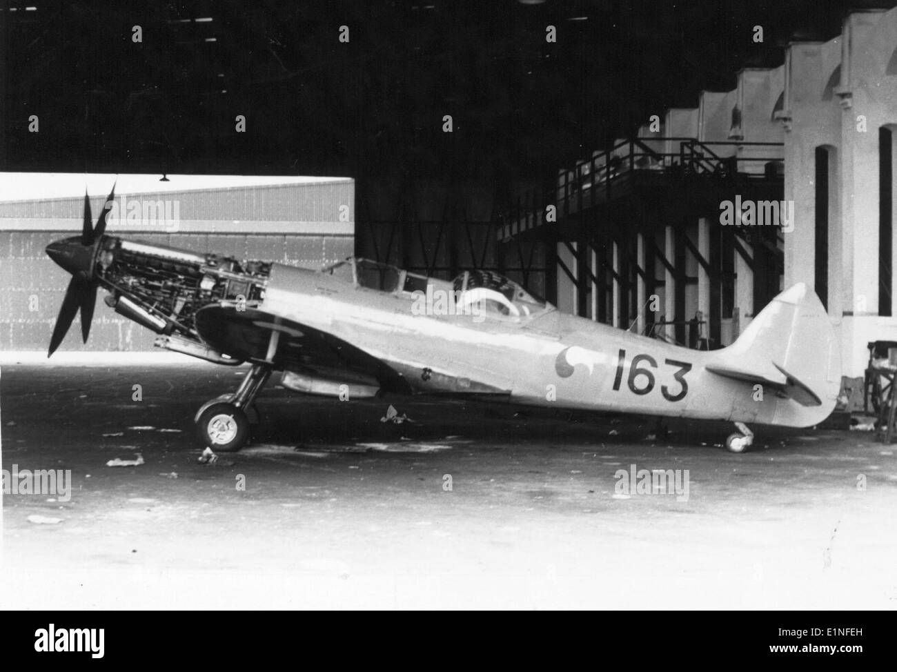 Irish fighter Black and White Stock Photos & Images - Alamy