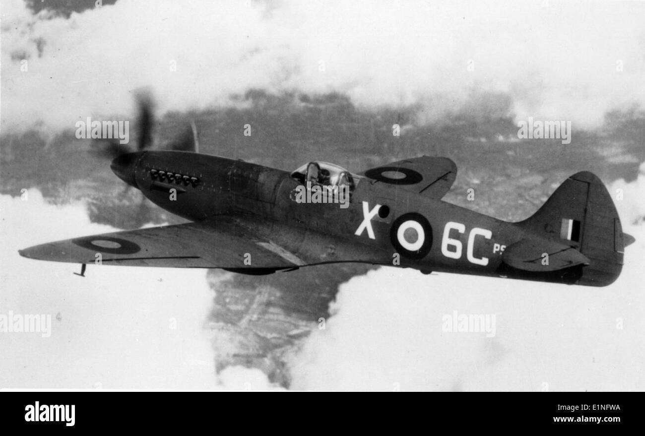 Spitfire Pr Xix High Resolution Stock Photography and Images - Alamy